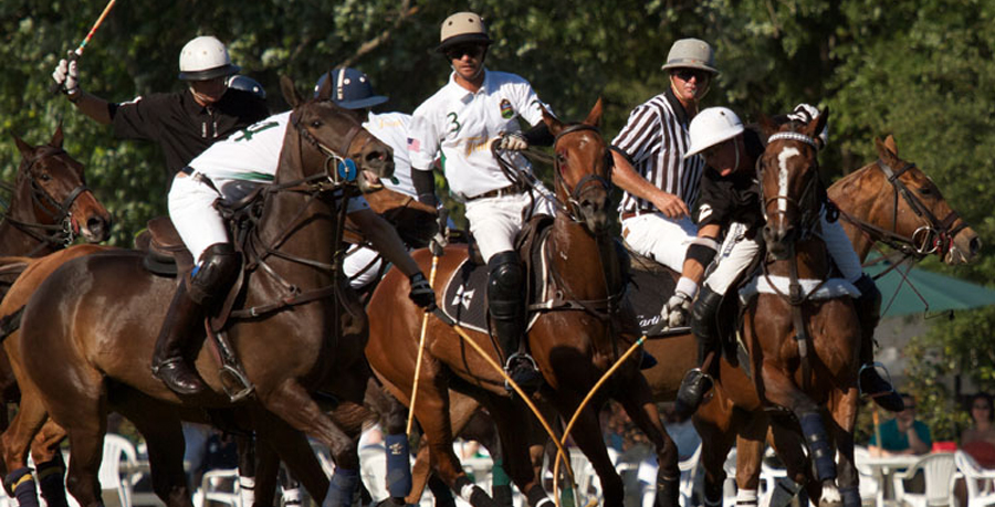 Sunday Polo – Houston Polo Club